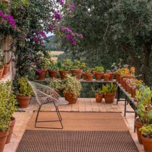Buy Yoga Mats Dubai | No.1 Exercise Mat Supplier | 40% OFF